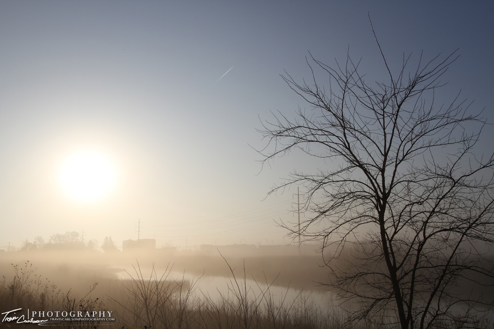 Travis Carlson Photography: Blog: 03/13/12 A Foggy Spring Morning