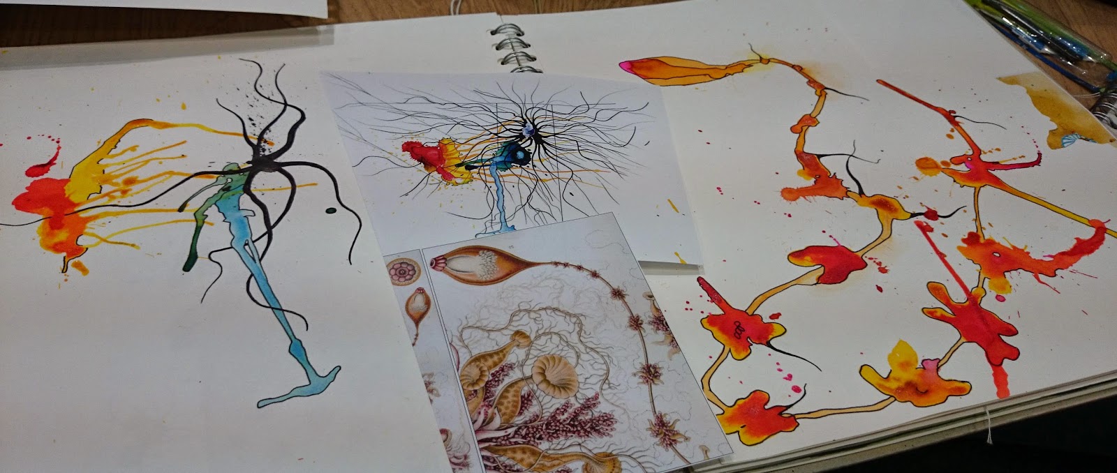 Biomorphic Forms: The Initial Research