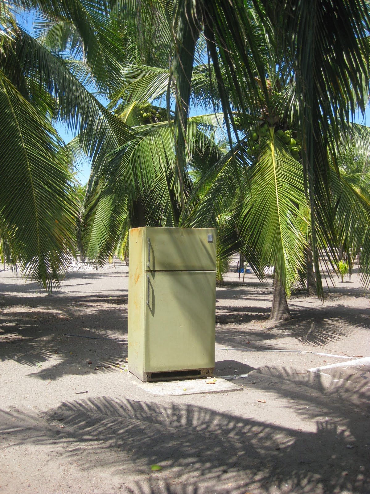 The Land of Eternal Spring: Peace Corps, Guatemala : Beach Weekend in ...