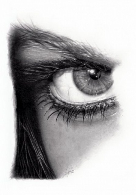 Arte y Actividad Cultural: Espectaculares dibujos con grafito