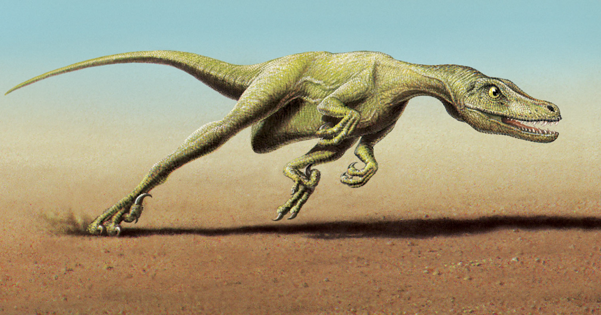 Velociraptor | Ikessauro