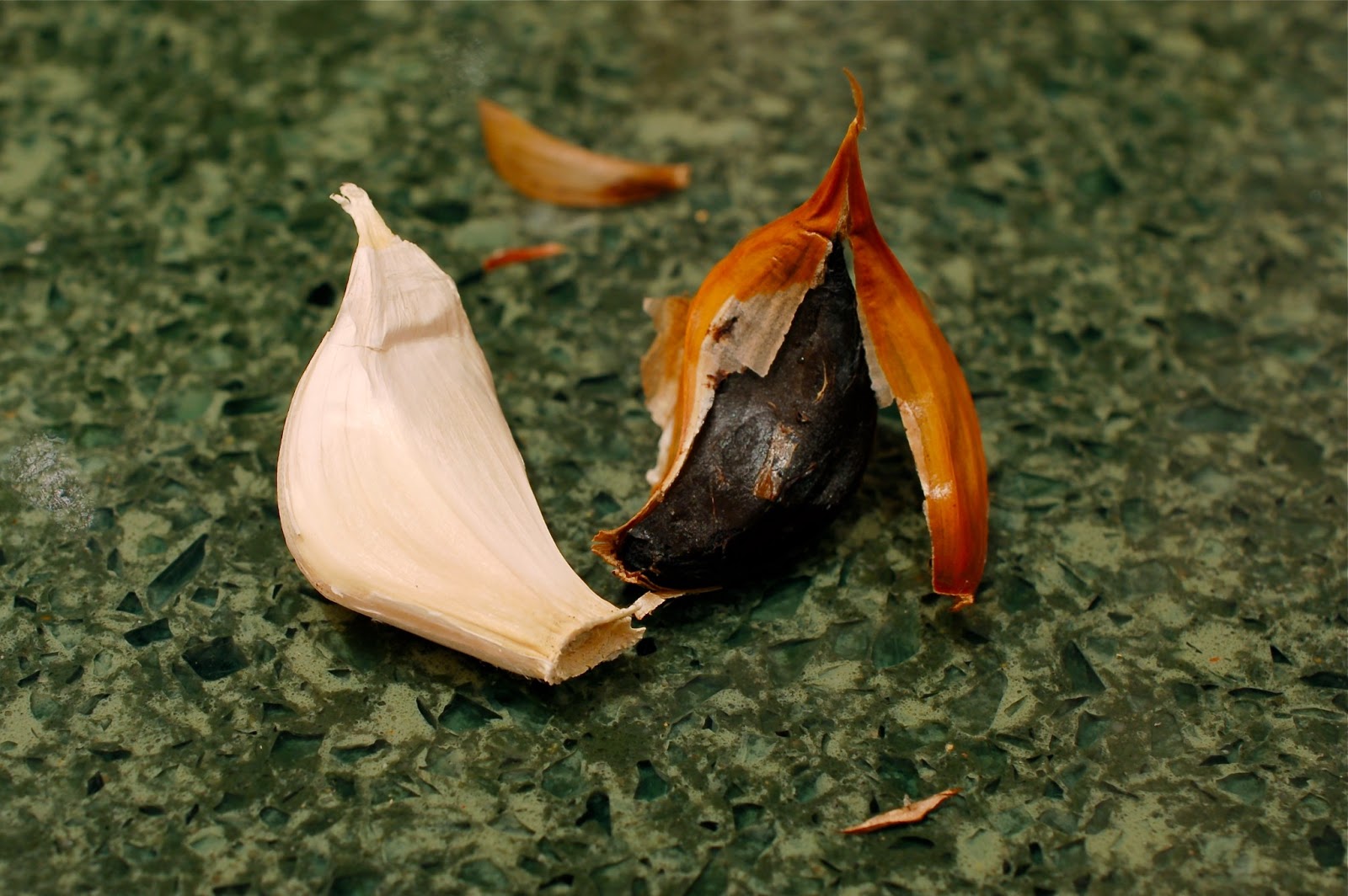 Meals With Morri: Chuck Steak and Vegetable Stew