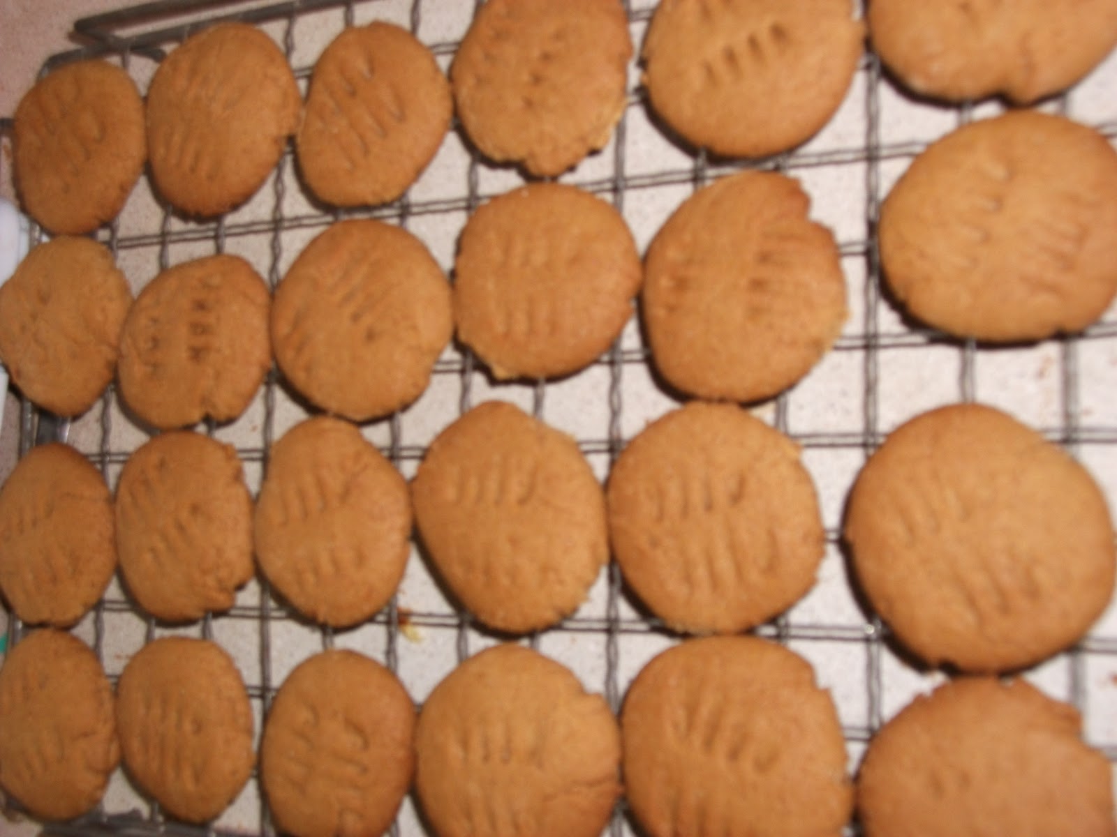 Nellie B's Wartime Rationing: Ginger Biscuits
