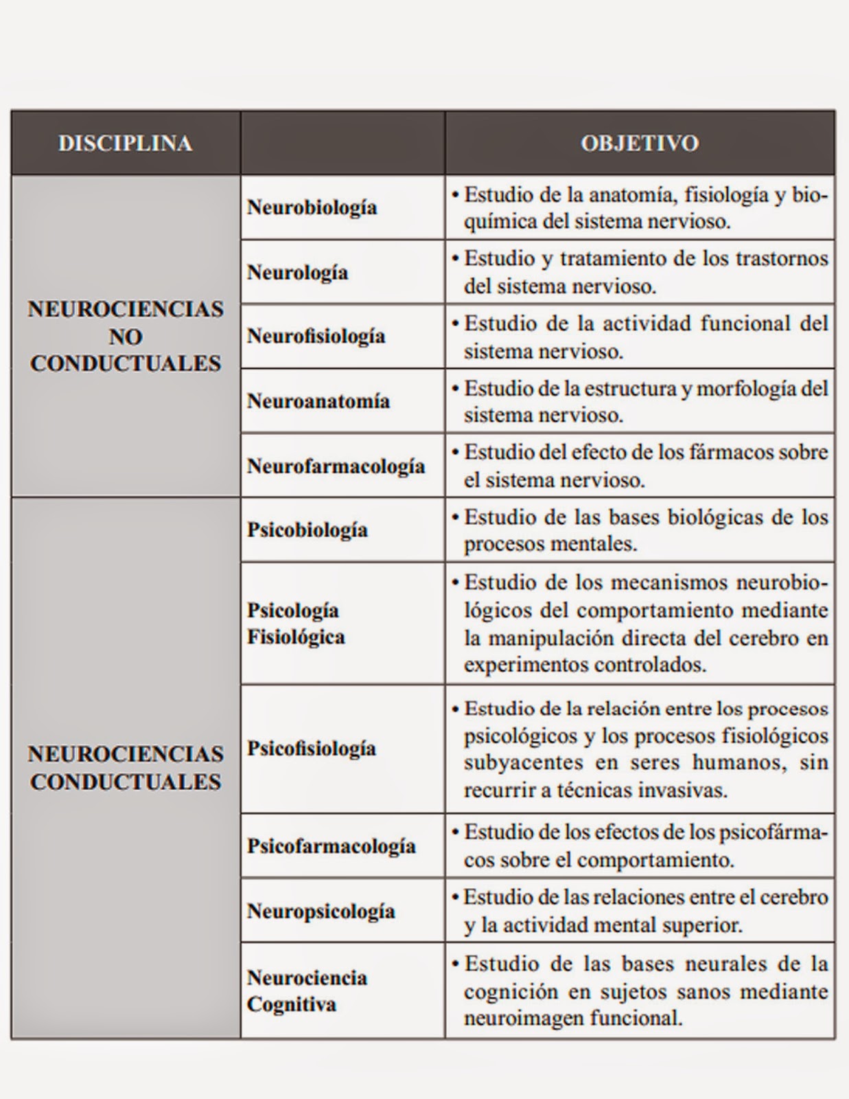 RESUMEN NEUROPSICOLOGIA