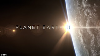 Mis Publicaciones Recientes: Nuestro maravilloso planeta.