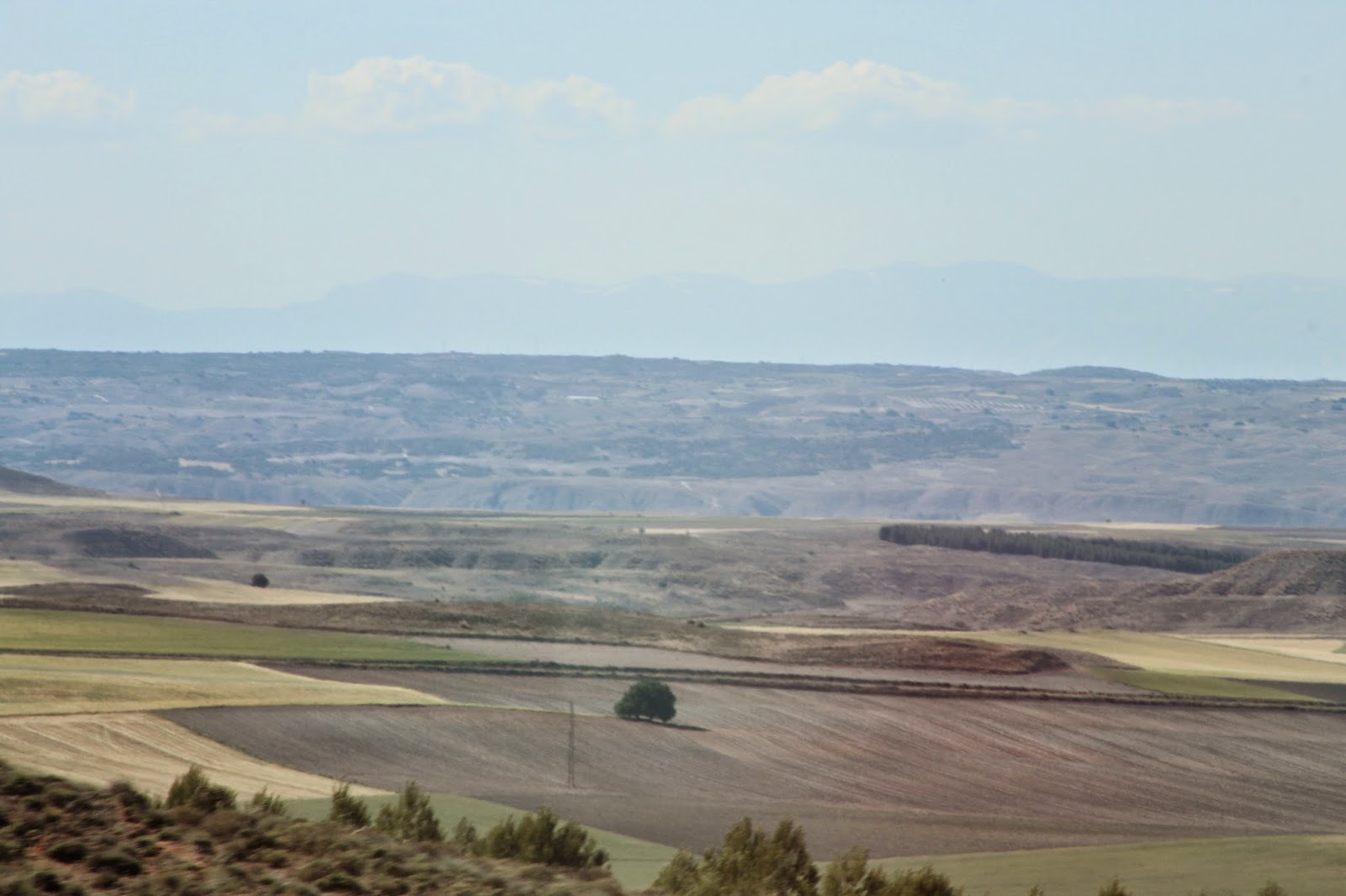 Historia y Genealogía: Tarancón. Cuenca