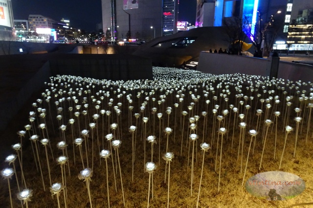Seoul, South Korea: LED Rose Garden at Dongdaemun Design Plaza (DDP ...