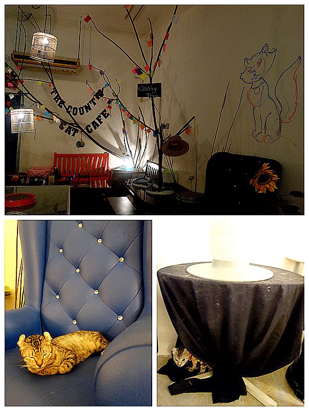 Eat Drink KL | The Country Cat Cafe @ Setapak