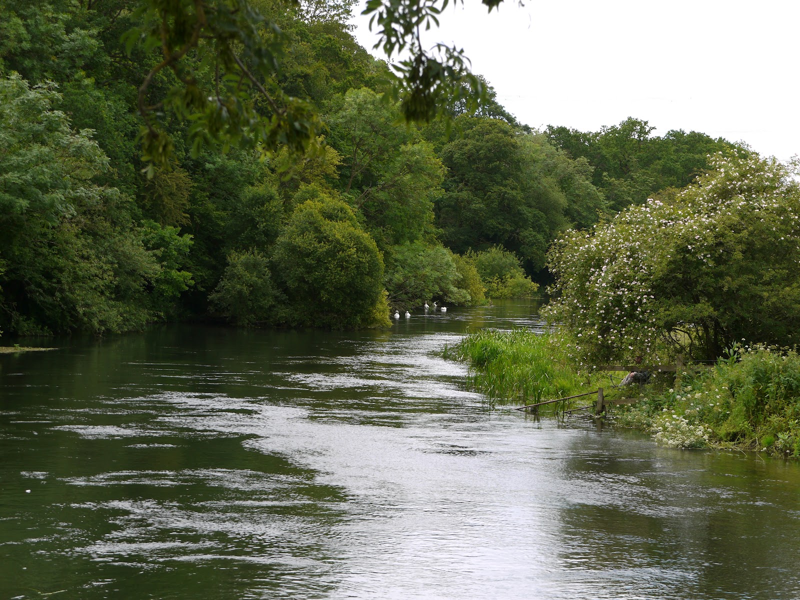 A DAY IN THE LIFE: The Avon Valley Path