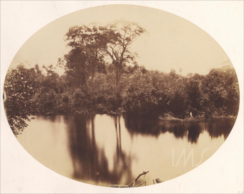 vozes da zona norte: O secular bairro de Beberibe (Recife)