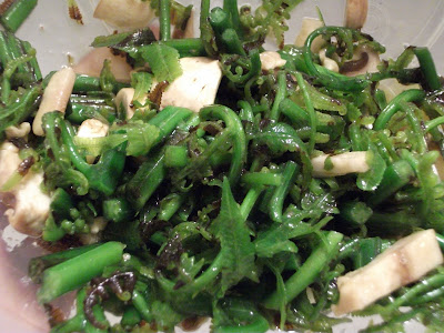 My Rawsome Life!: Pohole Ferns: Available to You!