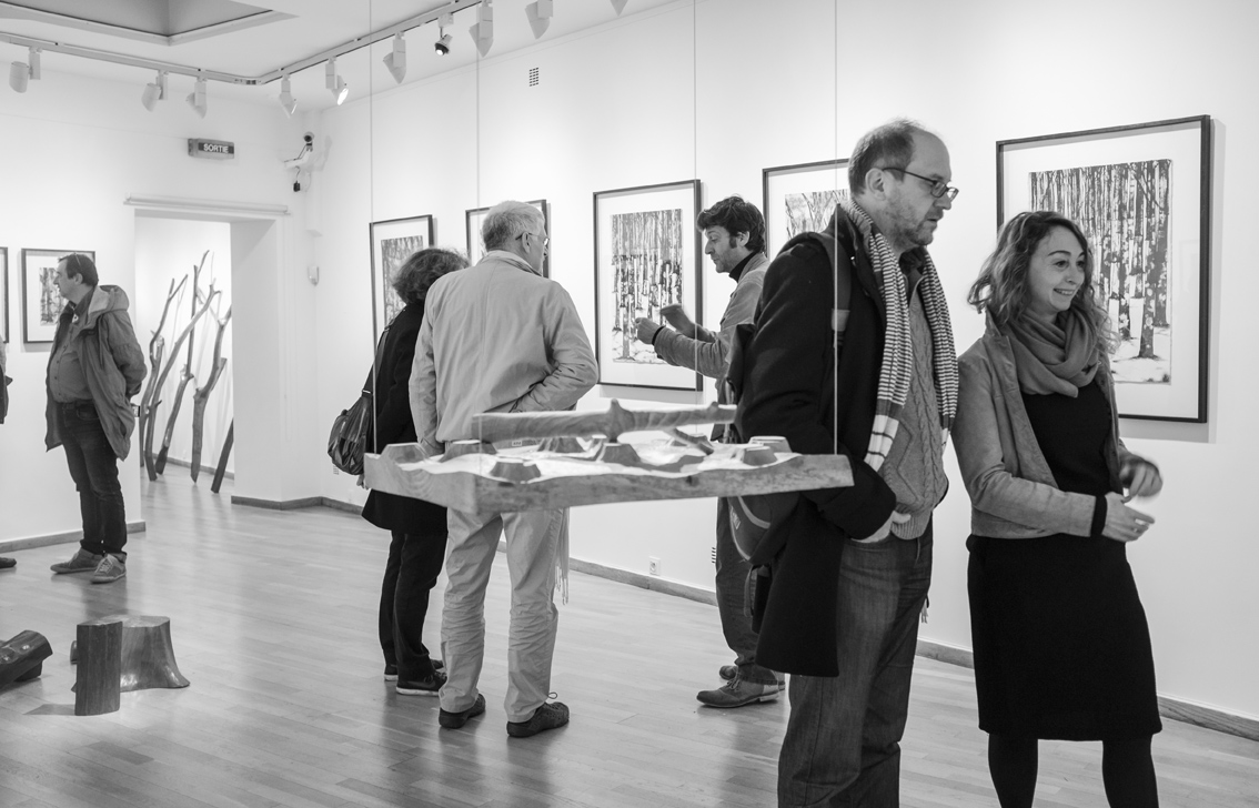 Marie Hélène de La Forest Divonne: Exposition David Décamp du 01.12.16 ...