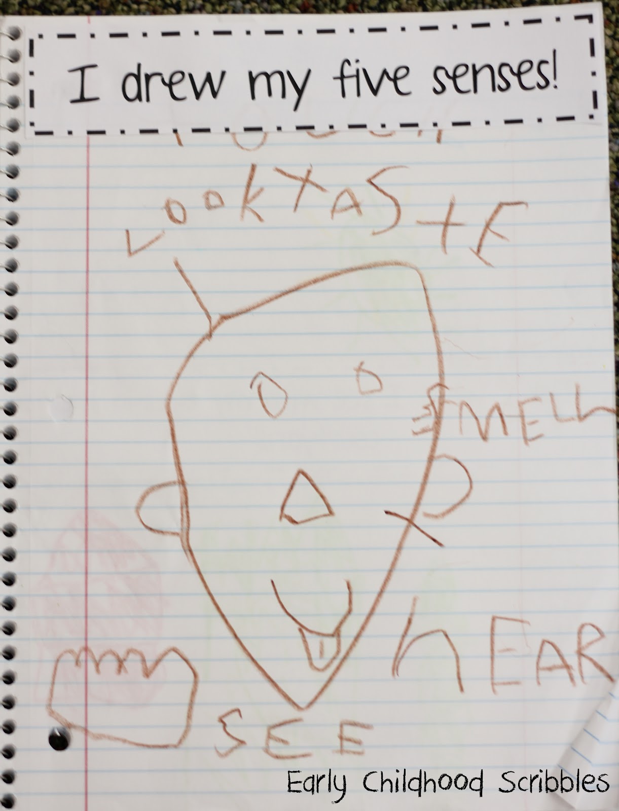 Early Childhood Scribbles: Our Five Senses