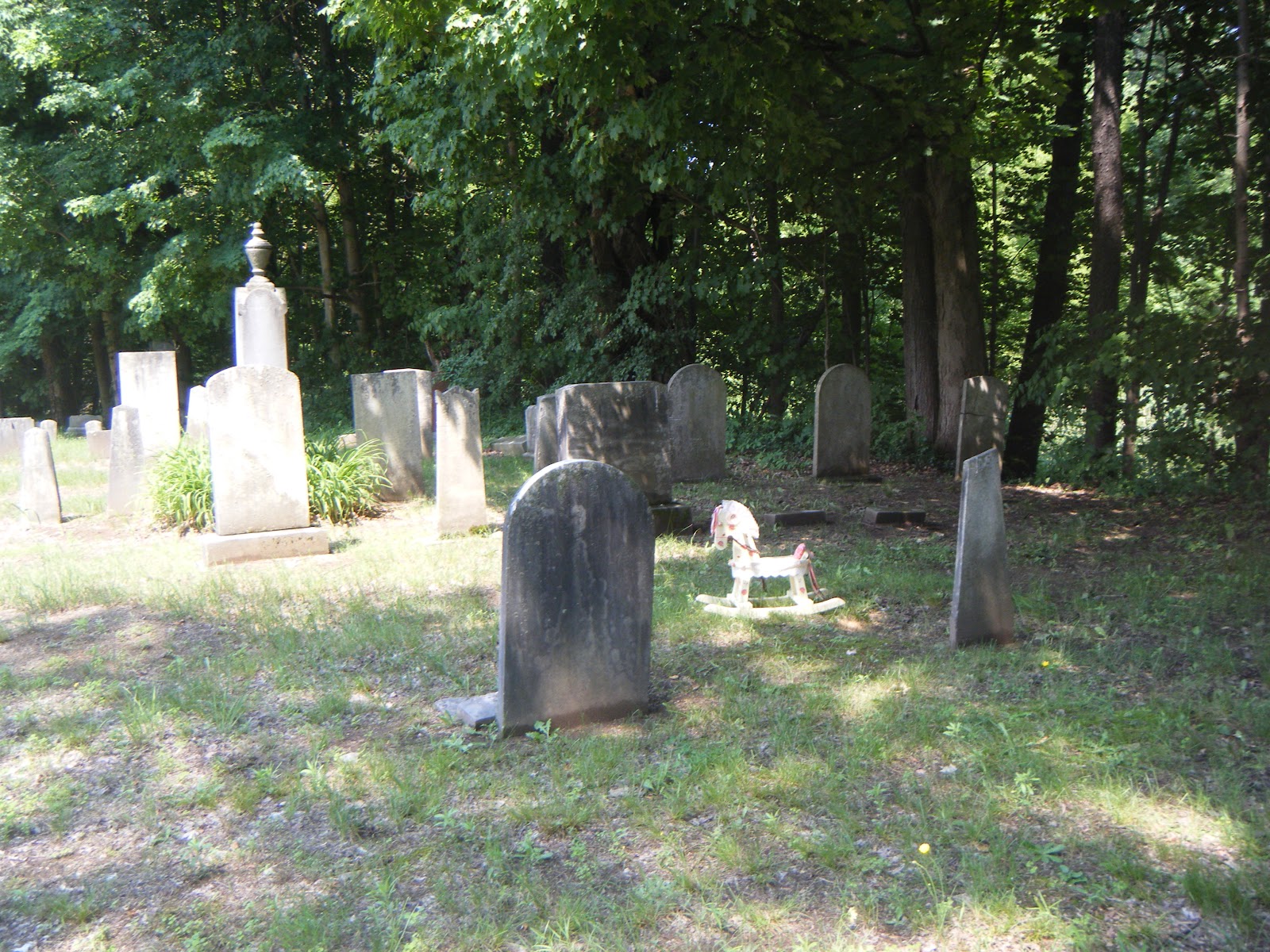 Morgan Cemetery: 2012