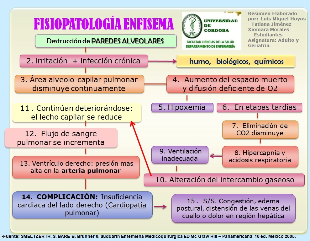 Fisiopatologia Da Enfisema Pulmonar - RETOEDU