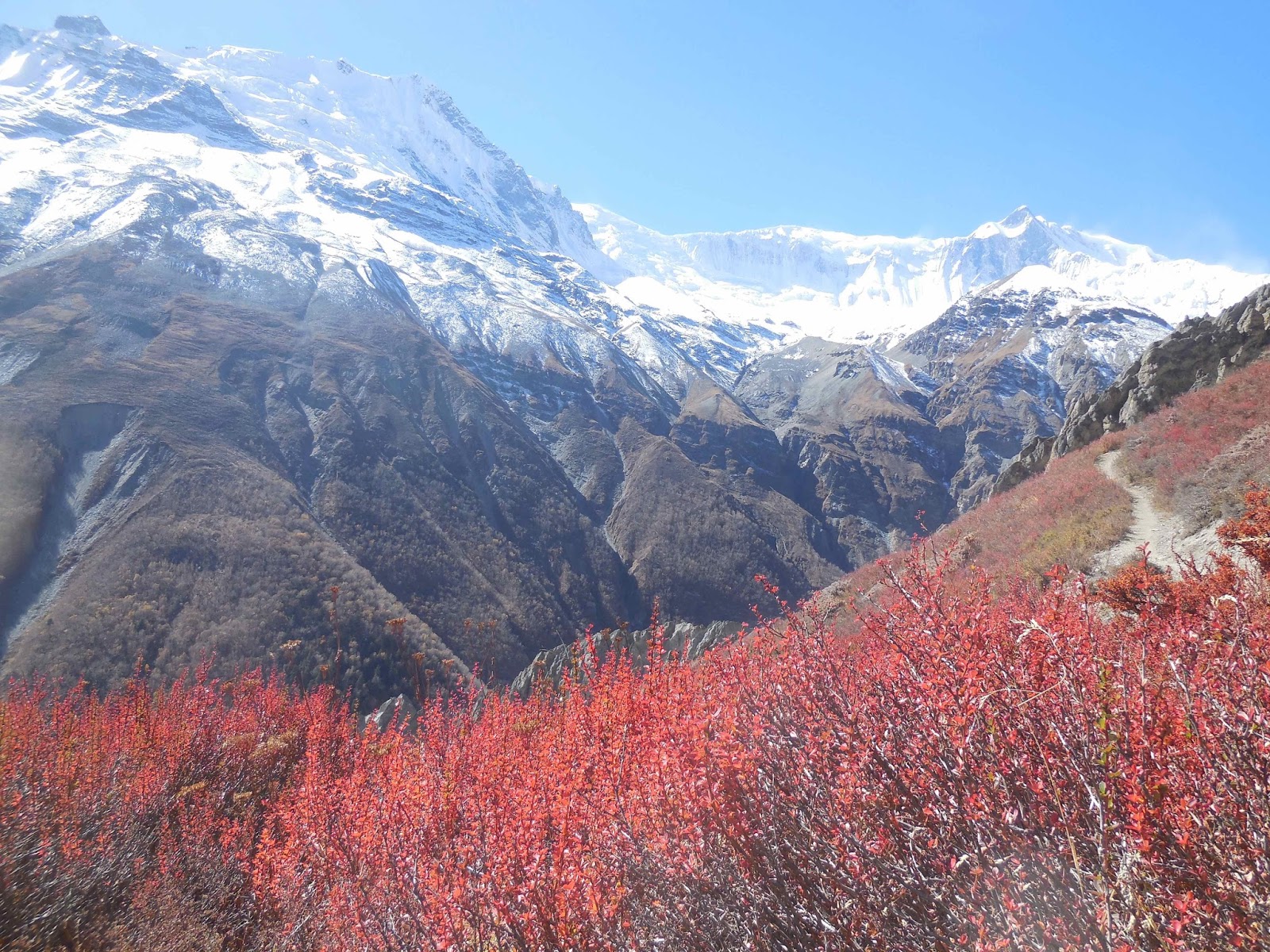 Ann Marcer in Nepal: Tilicho Tal - highest lake in the world