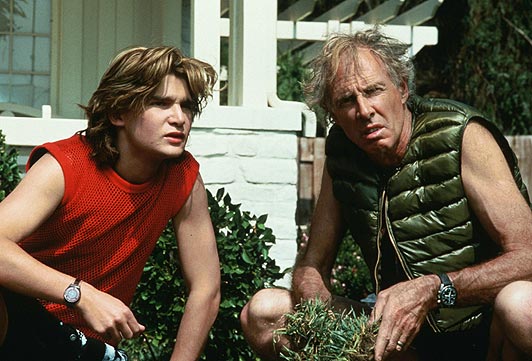 Film Guru Lad - Film Reviews: The 'Burbs Review