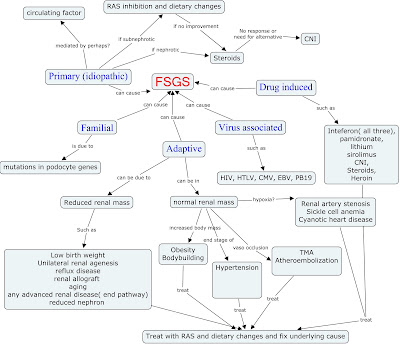 Nephron Power: Concept Map: Focal Segmental Glomerulosclerosis(FSGS)