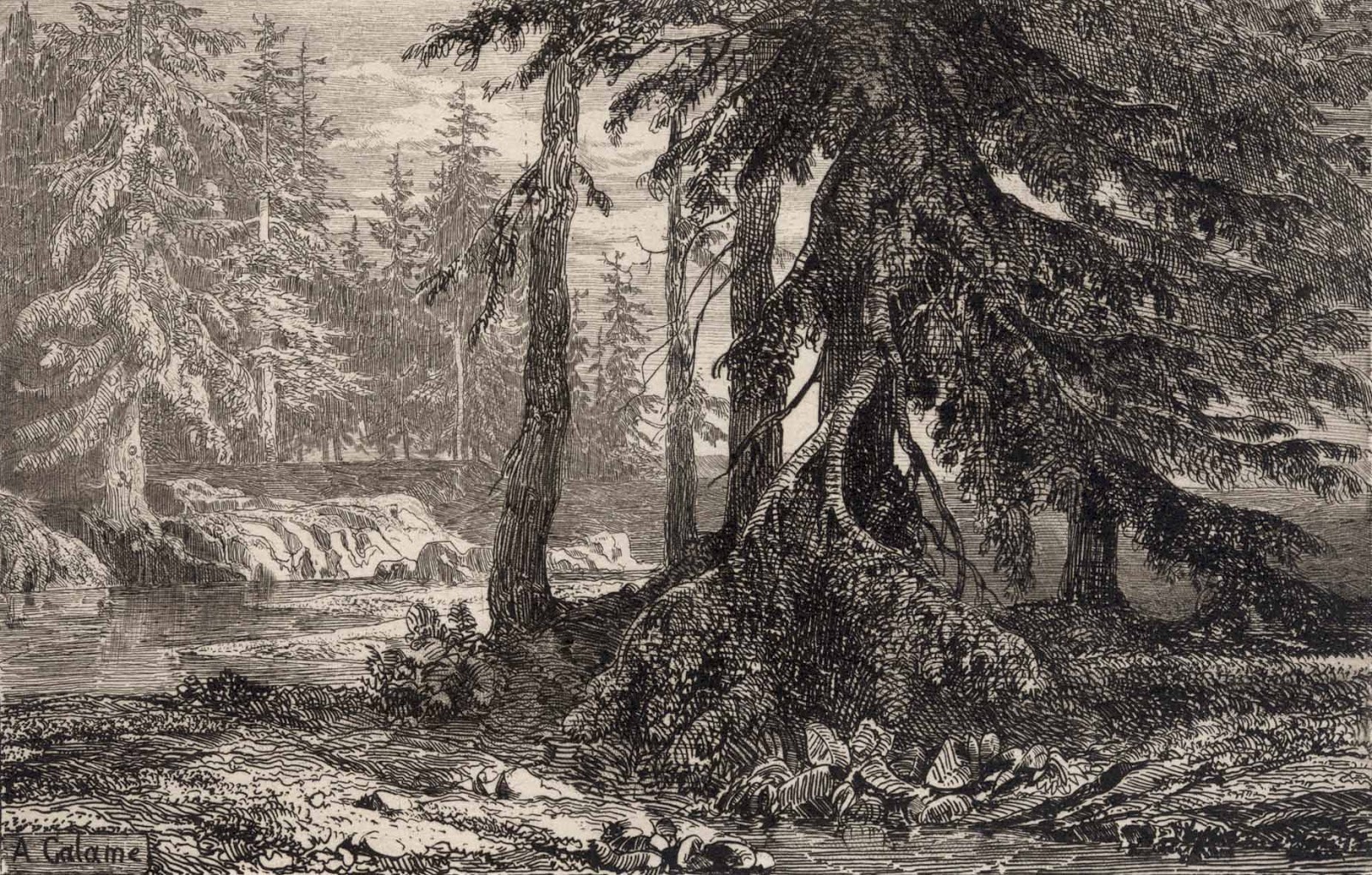 Prints and Principles: Alexandre Calame’s etching “Forest of fir trees ...