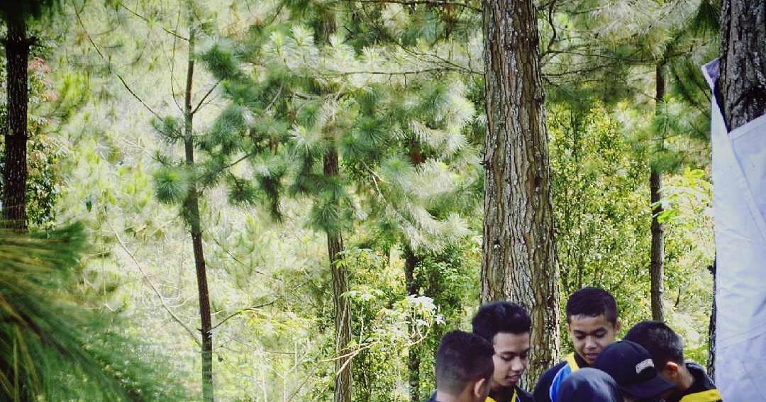 Teknik Menggambar Peta Pita, Peta Lapangan, Dan Peta Panorama - Lapak ...