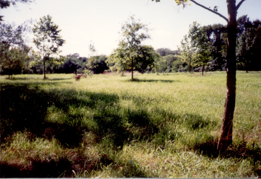 The Karl Domsch Family