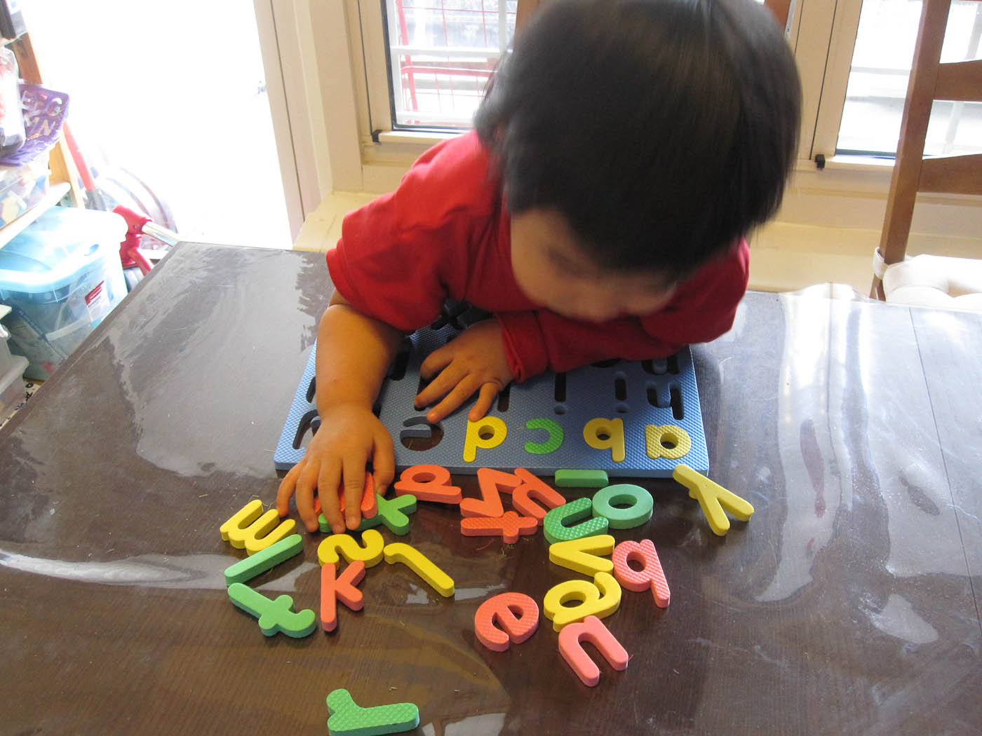 MFW 1st Grade Days 37-41