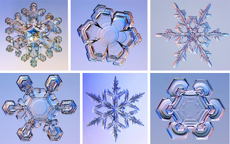 La pasión por la fotografía de cristales de hielo de Kenneth G ...