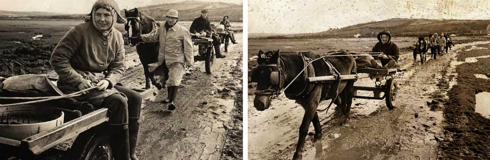 FH3T04 - Major Photography Project: 8. Penclawdd Cockle Pickers