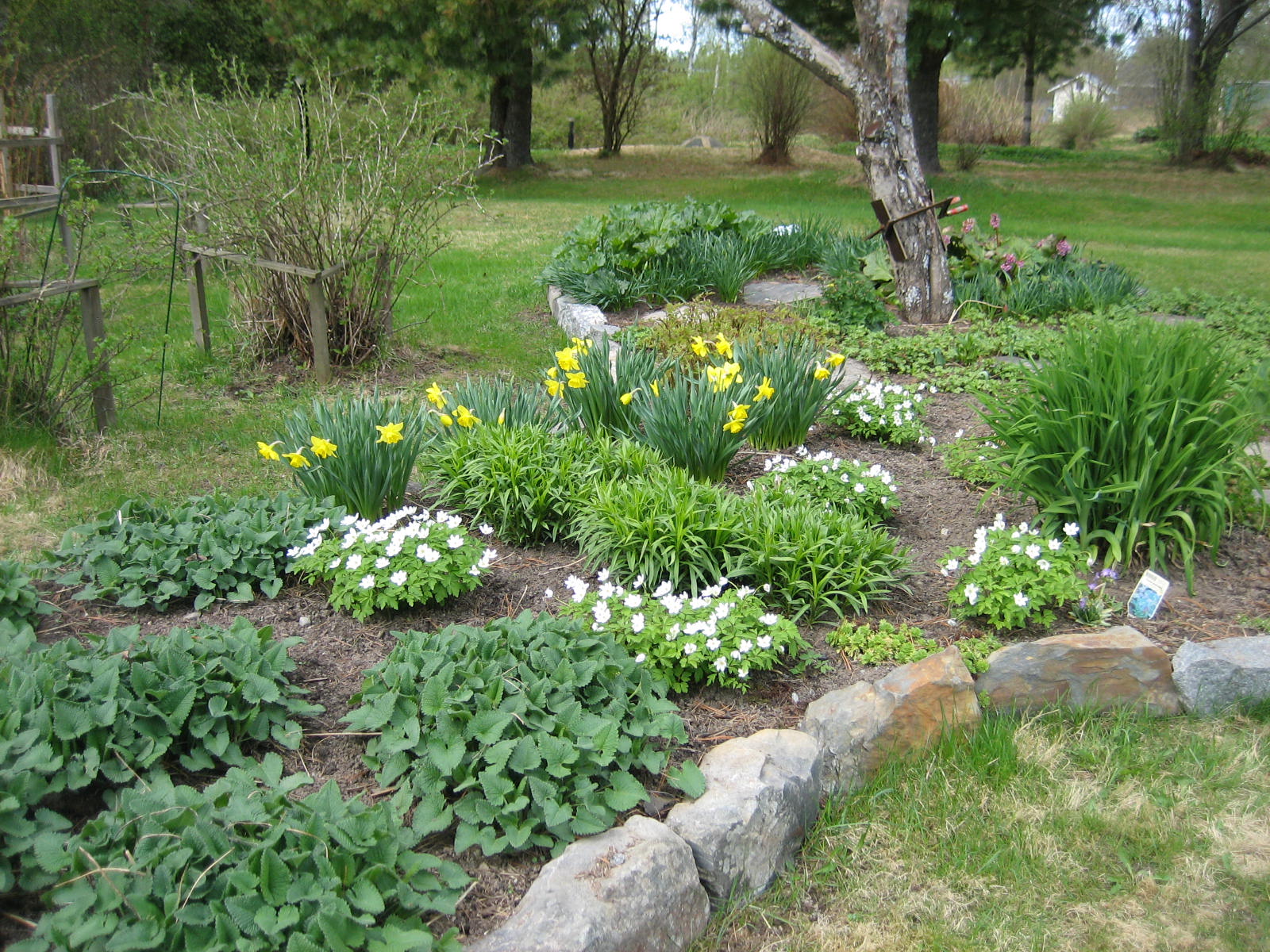 Hantverkarglädje : Grannens rabatt