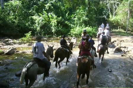 MINDO EN ECUADOR: 2018