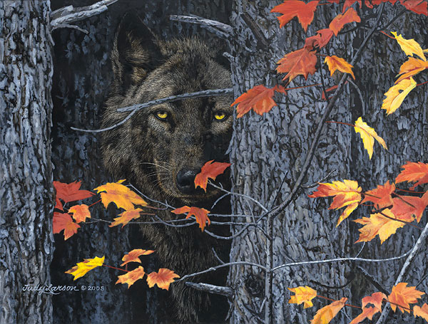 White Wolf : Judy Larson - Talented American Wildlife Artist