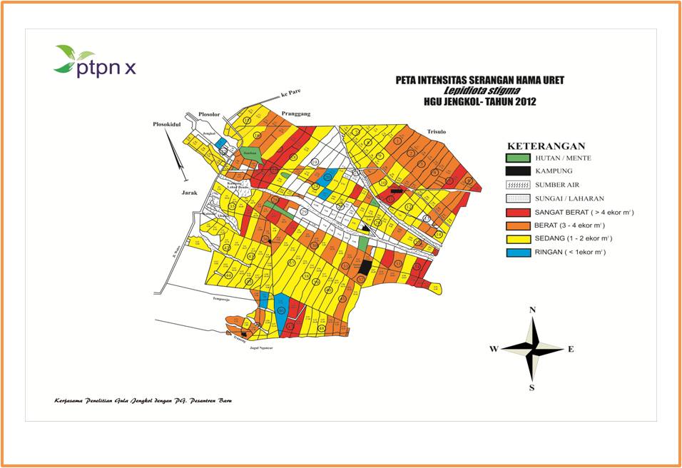 Pengendalian Hama Uret pada Tanaman Tebu ~ Pusat Penelitian Gula