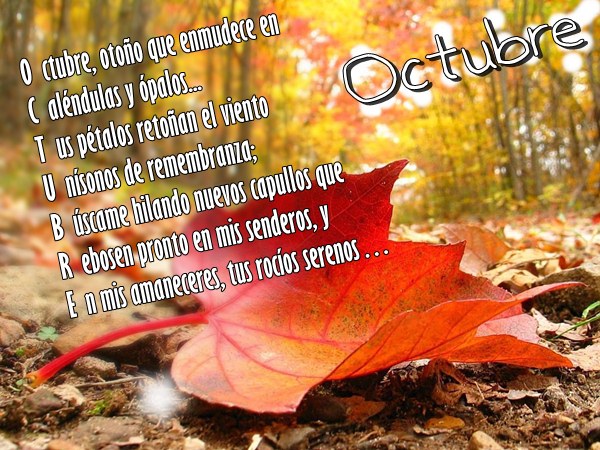 BLOG CEIP TIERRA DE CAMPOS VILLALÓN: octubre