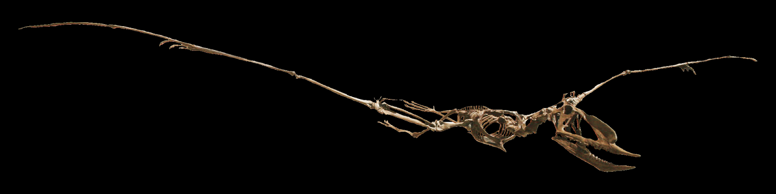 The Expeditioner's Discovery Guild: A little bit of Everything: Museums ...