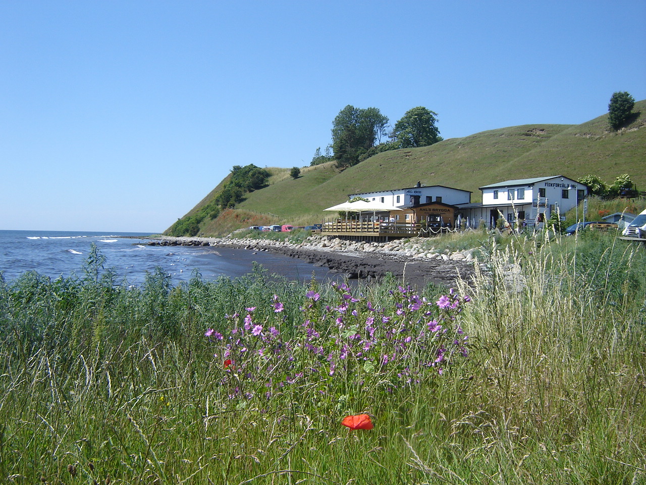 Skånska Resor: Skånska sommarbilder