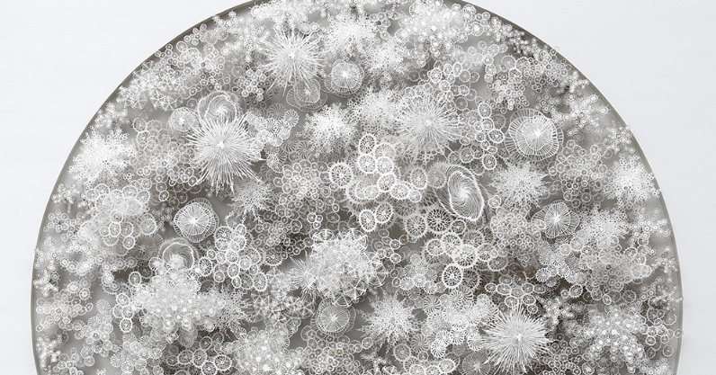 Murmure Visible: Rogan Brown