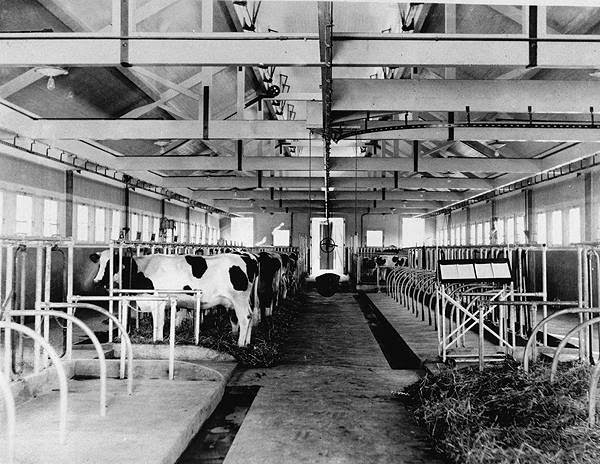 Colony Farm past -- present -- future: A few pictures from the ...