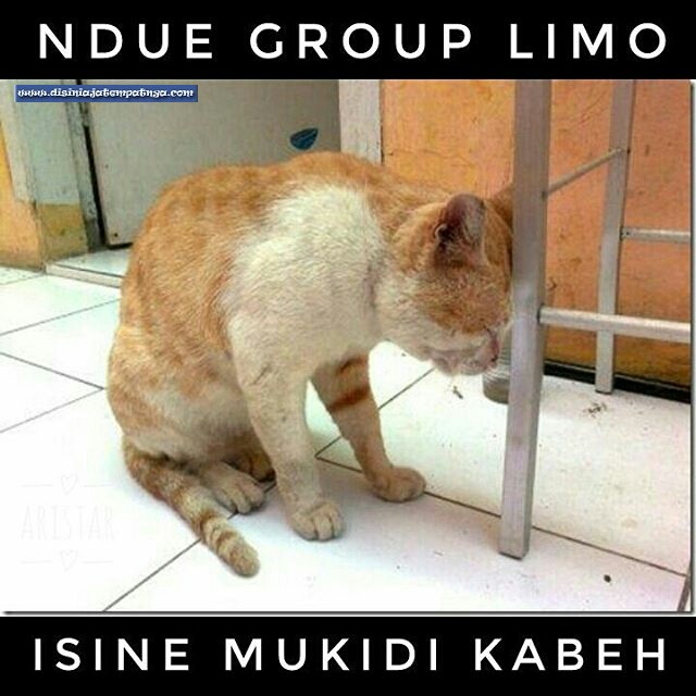 Kumpulan Gambar Meme Lucu Mukidi