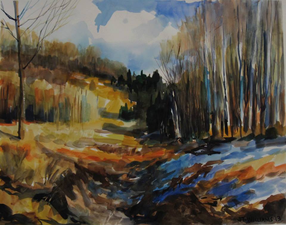 American Artist John Williams