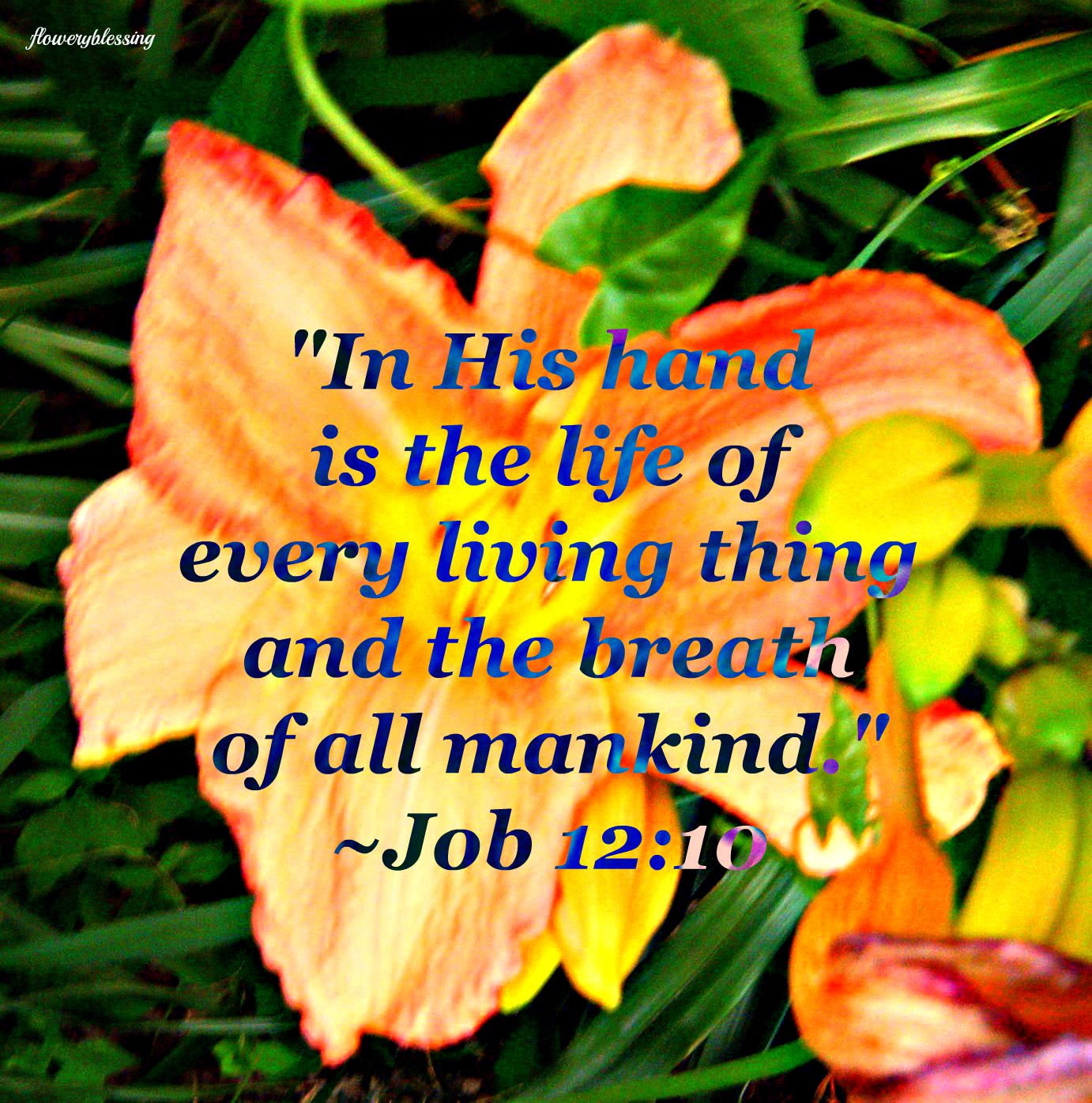 Flowery Blessing: "In His hand is the life of every living thing and ...