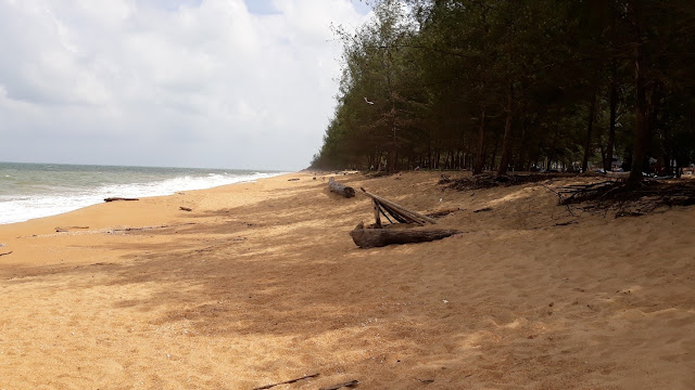 Mohd Faiz bin Abdul Manan: Pantai Teluk Mak Nik @ Monica Bay