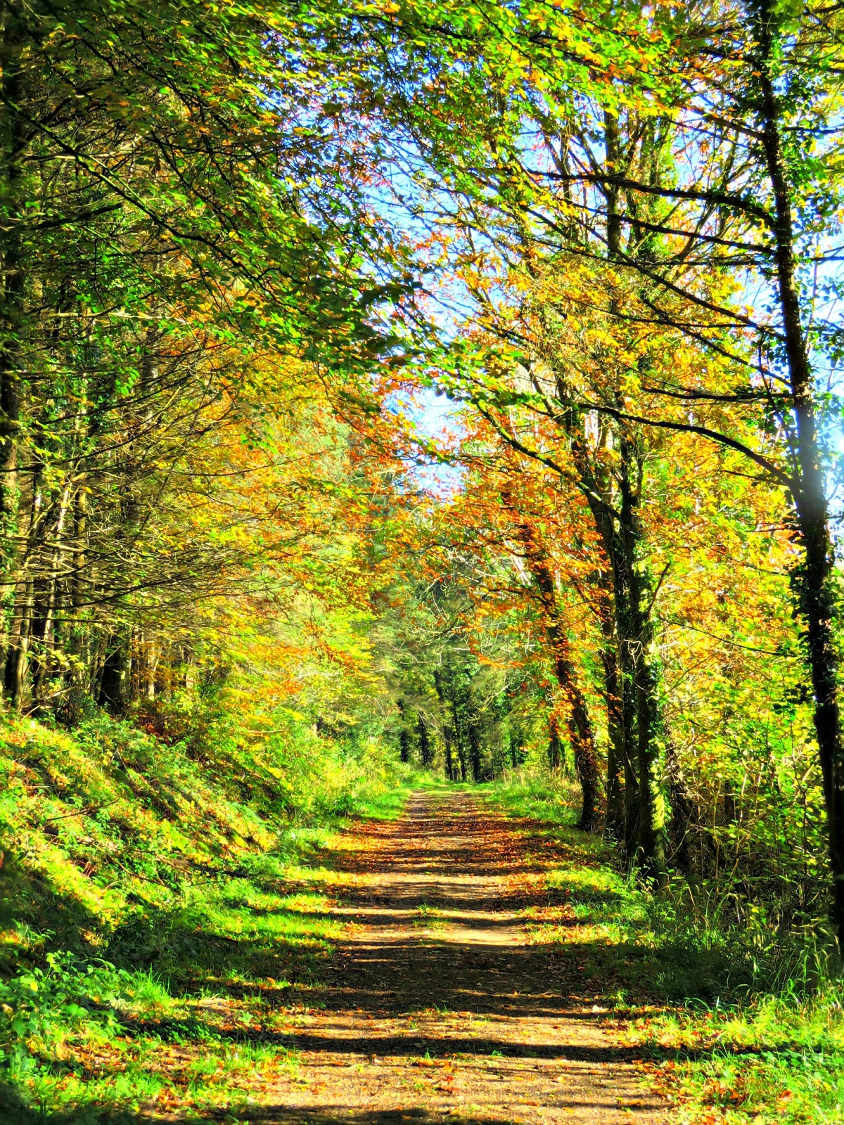 just saying ...: The Green Man in autumn ... a tale of renewal and ...