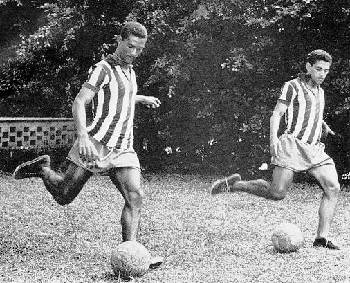 Museu Virtual do Futebol: O Rei da Folha Seca