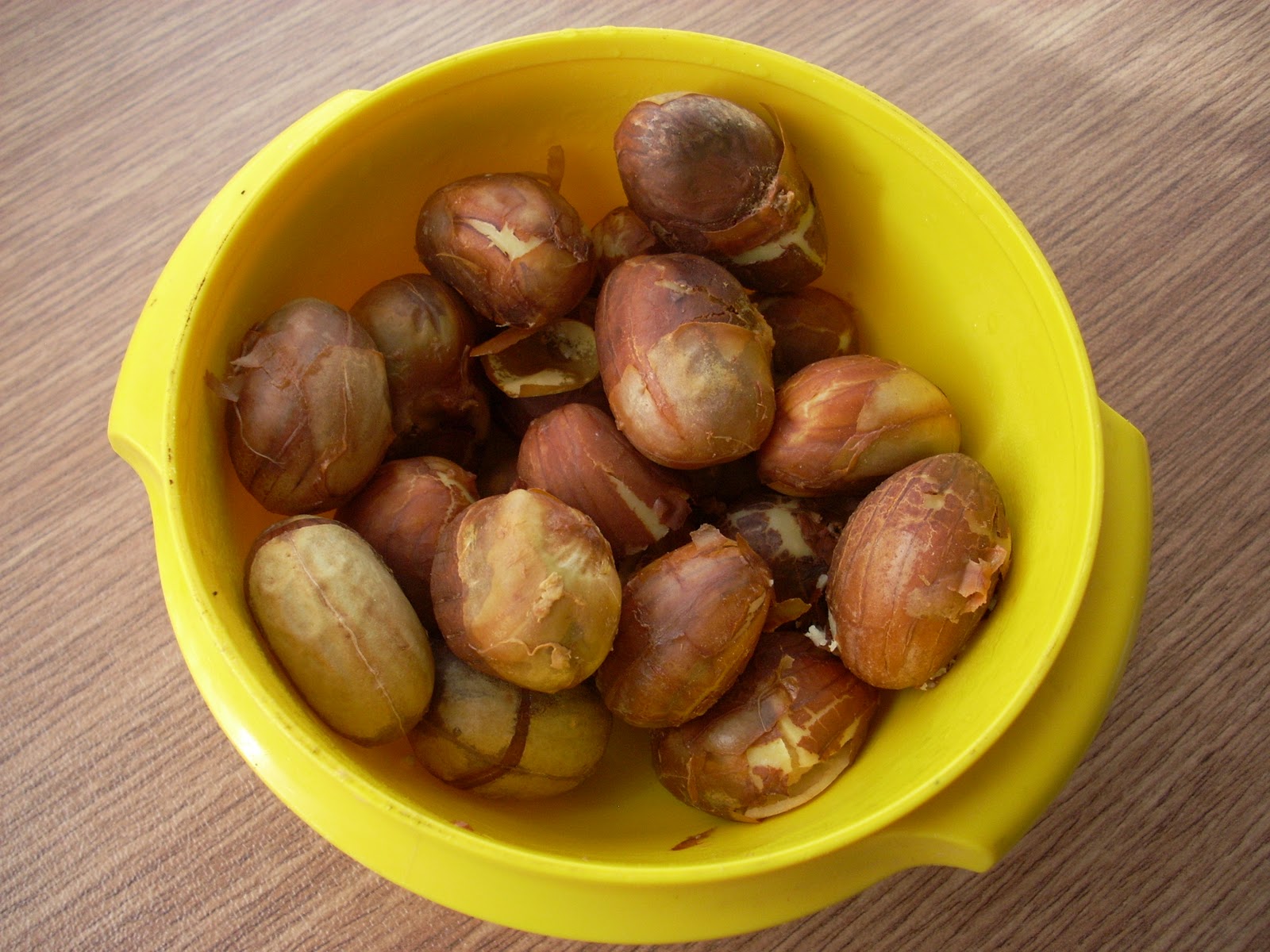 Cempaka Biru: Biji cempedak rebus.