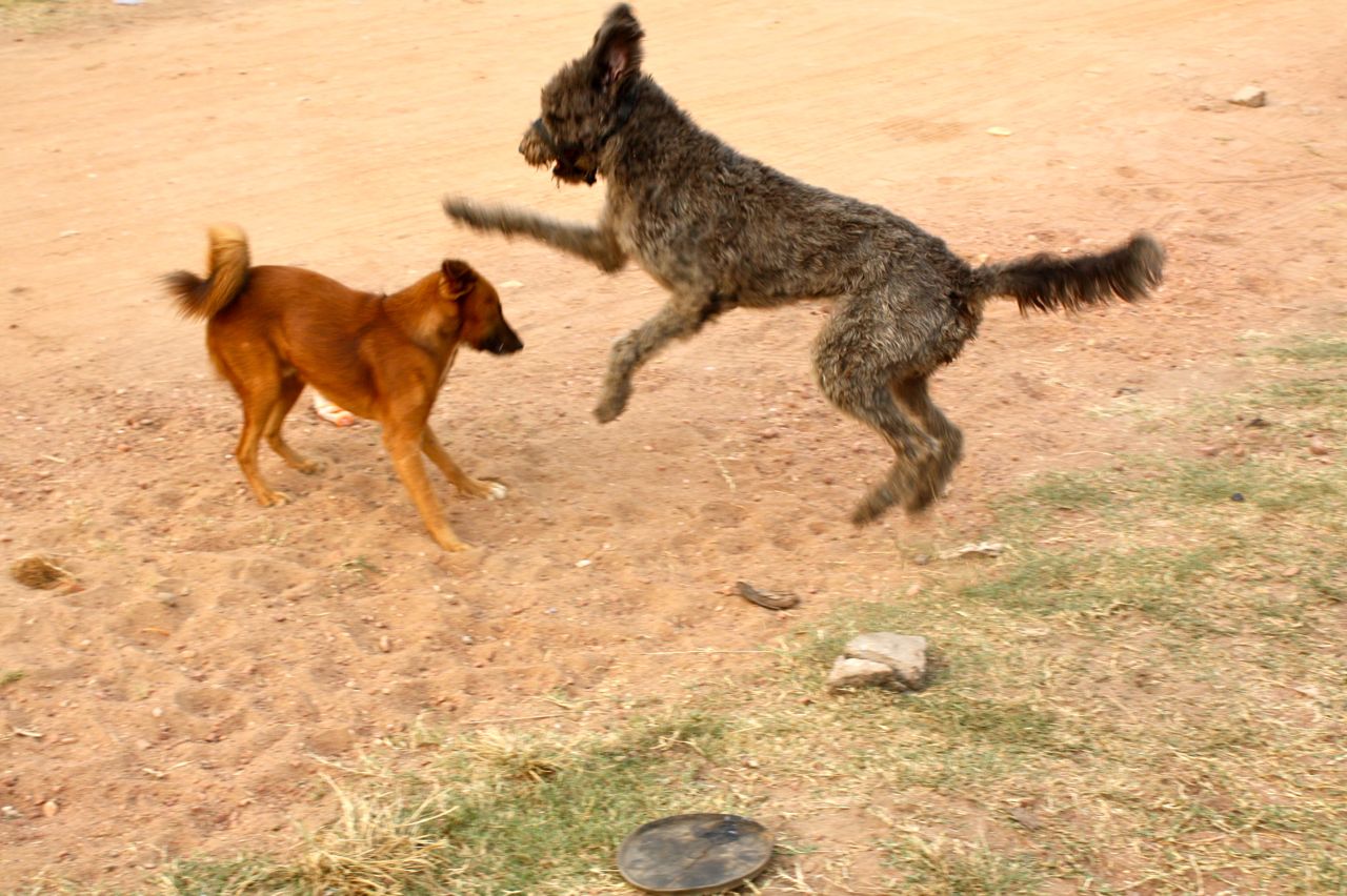at home in Ghana: A walk around our neighbourhood