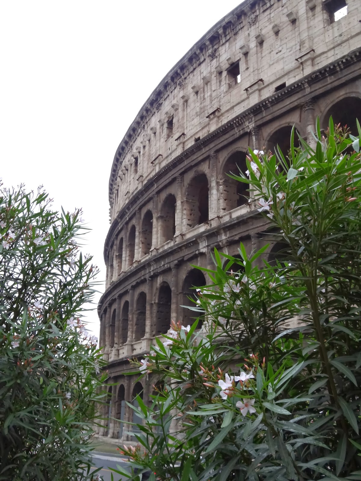 Transient Recollections