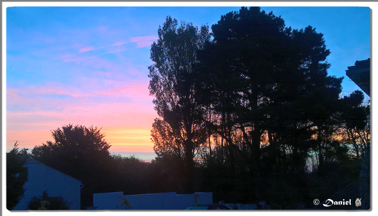 Photos Daniel: Matin