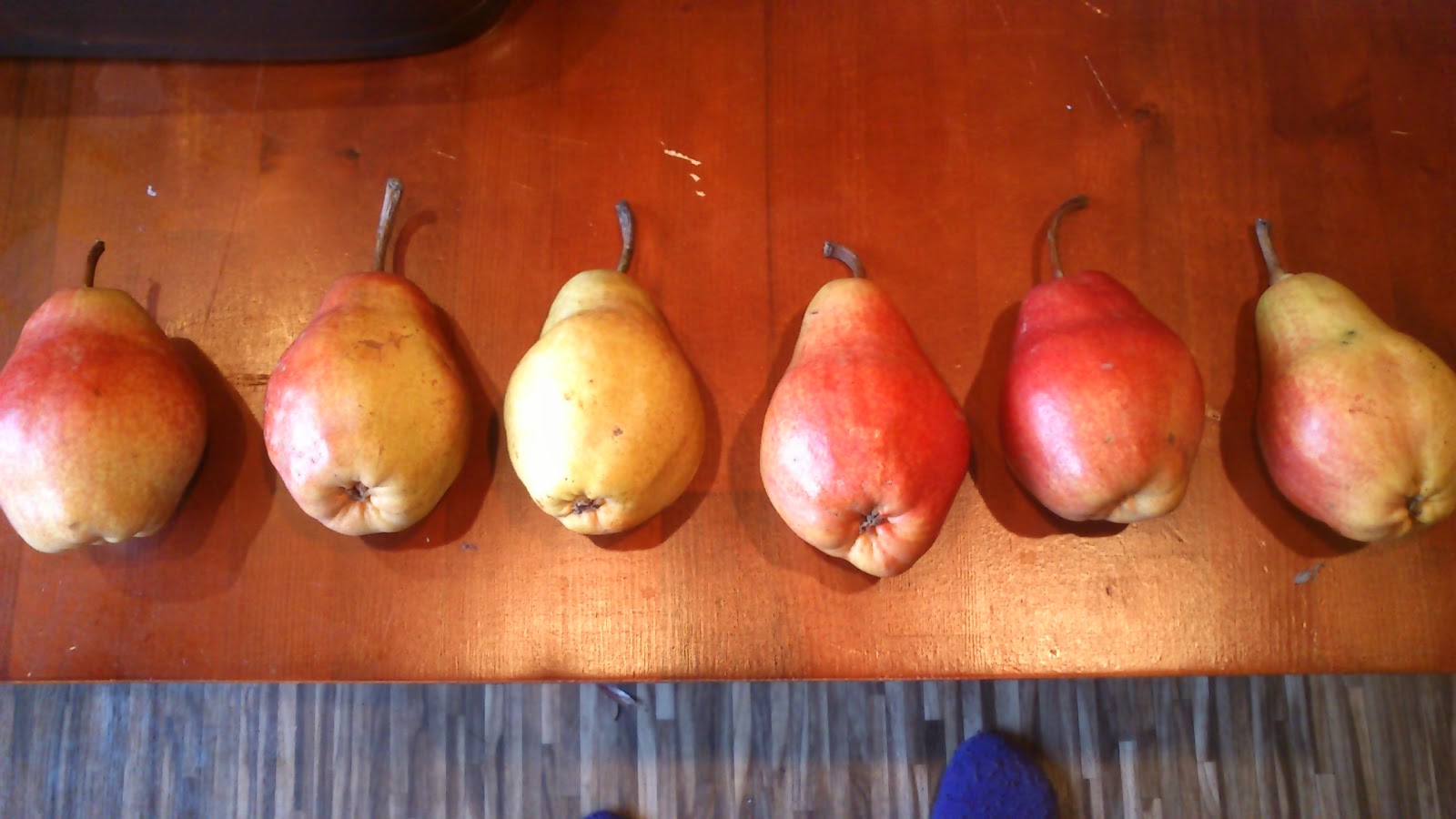 VIRTUVES TERAPIJA: Šokolādes bumbieru kūka