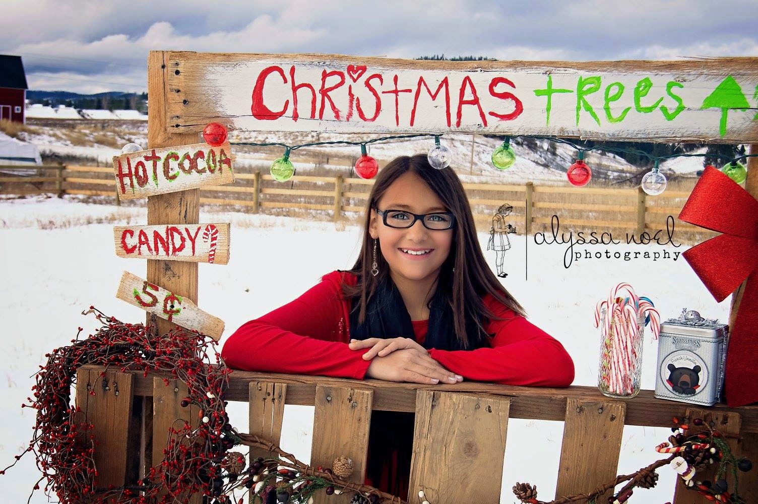 Alyssa Noel Photography: January 2015