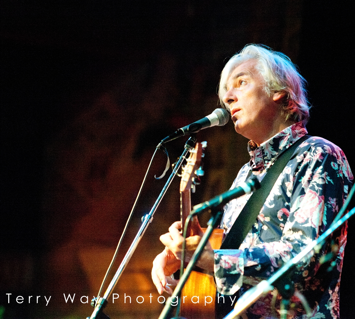 Terry Way Photography Santa Cruz Photographer: Robyn Hitchcock ...